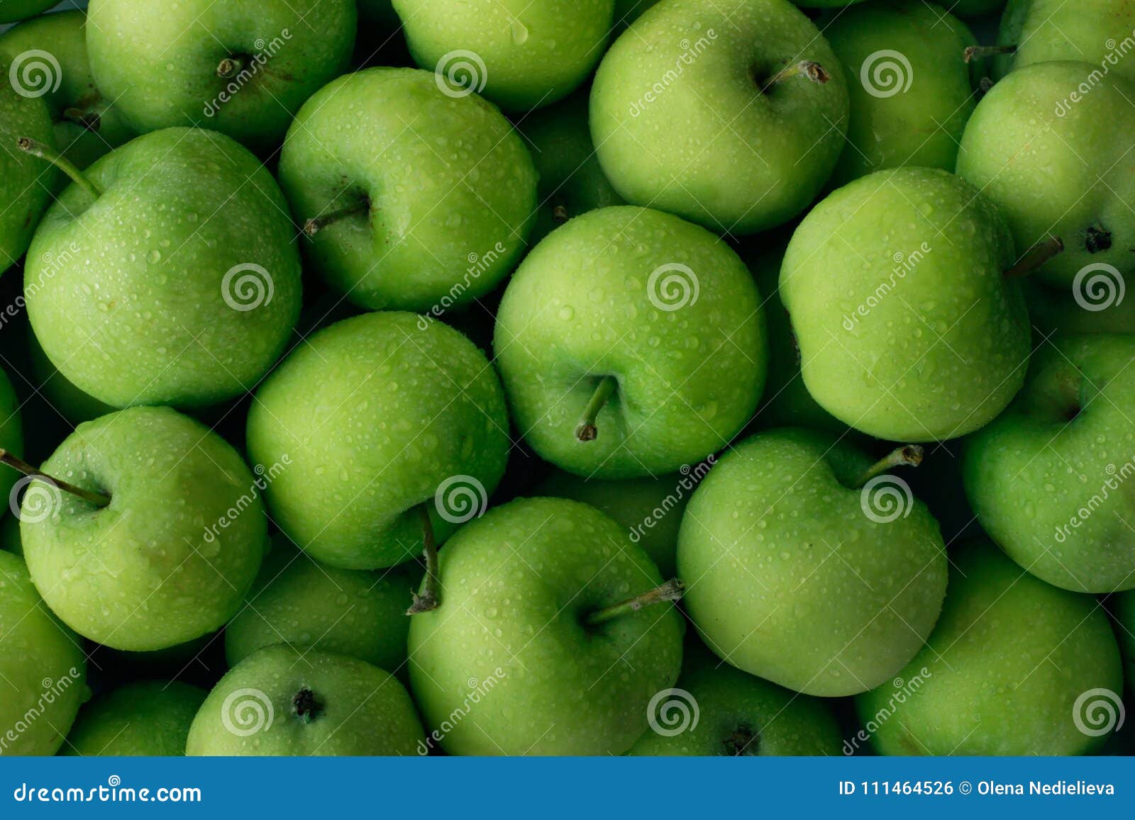 Fresh Green Apples - Source of Vitamins and Healthy Lifestyle Stock ...