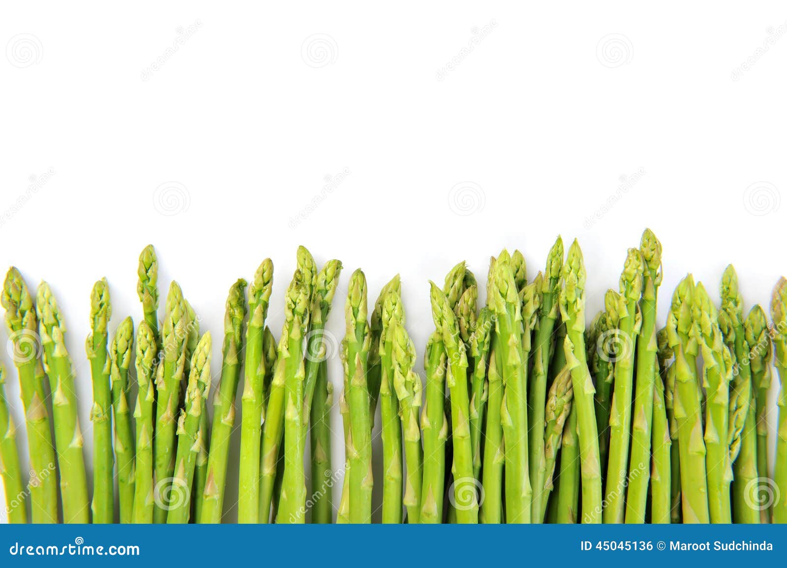 Fresh green asparagus stock photo. Image of cooking, veggie - 45045136