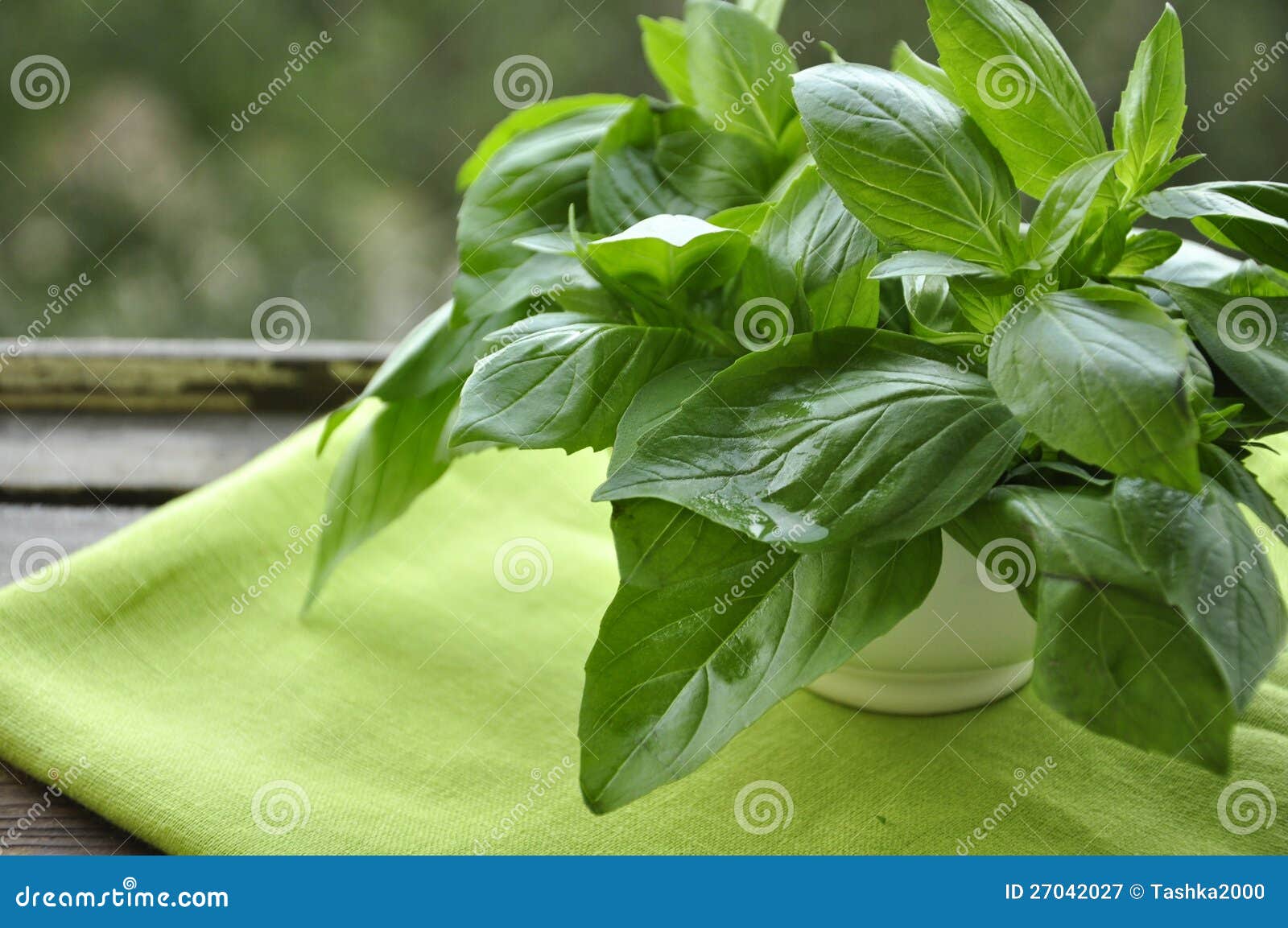 Fresh green basil stock image. Image of italian, fresh - 27042027