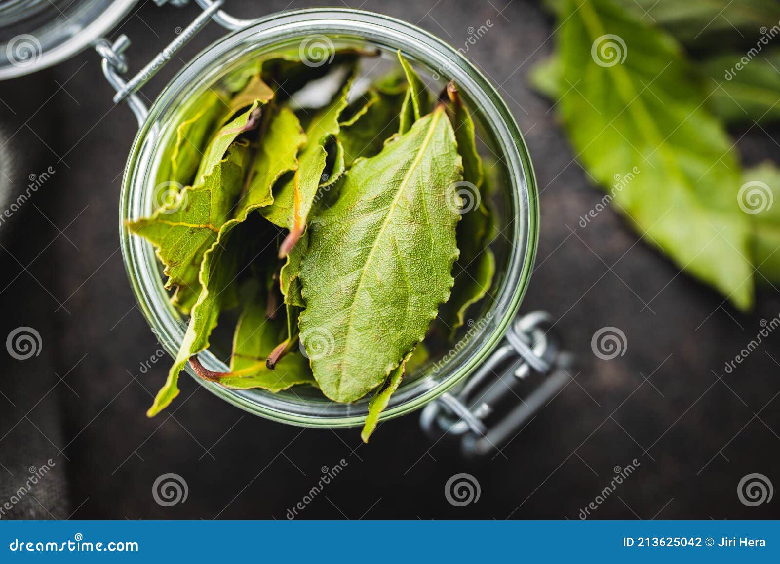 Fresh Green Bay Leaves in Jar Stock Photo - Image of group, herb: 213625042