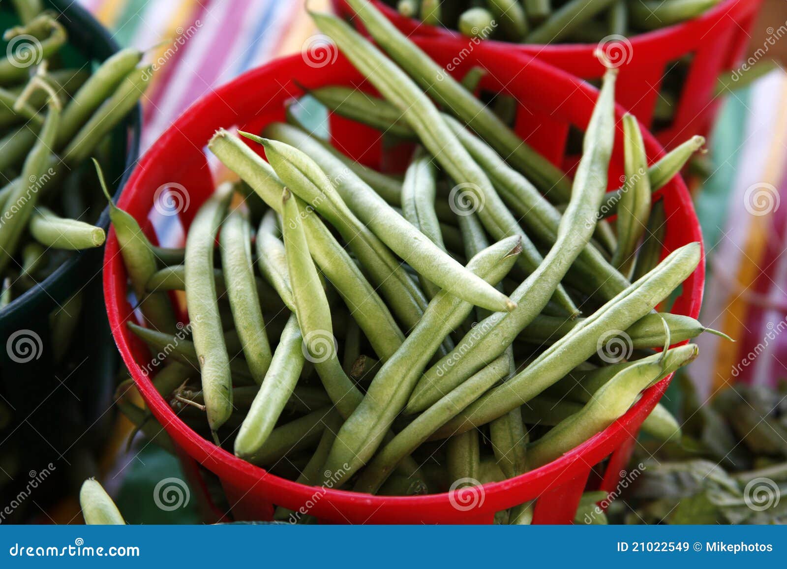 Fresh Green Beans stock image. Image of pole, market - 21022549