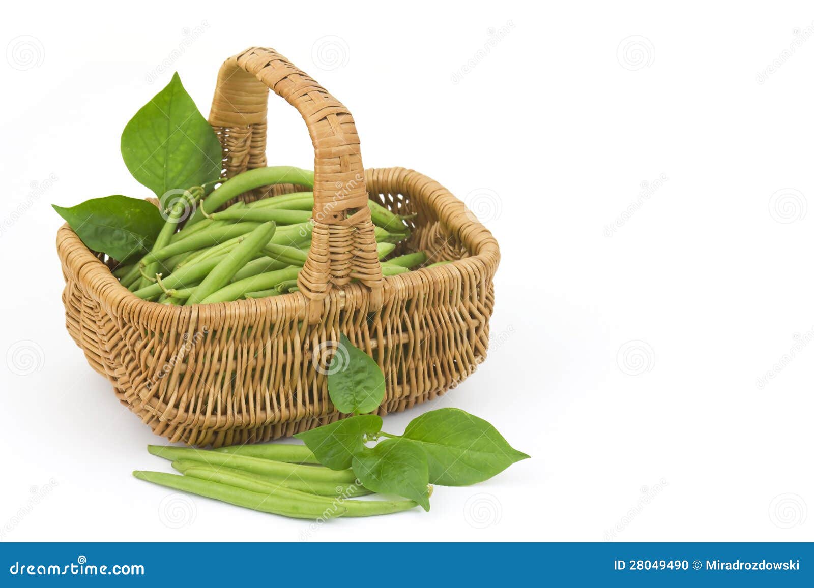 Fresh Green Beans in a Basket Stock Photo - Image of meal, group: 28049490