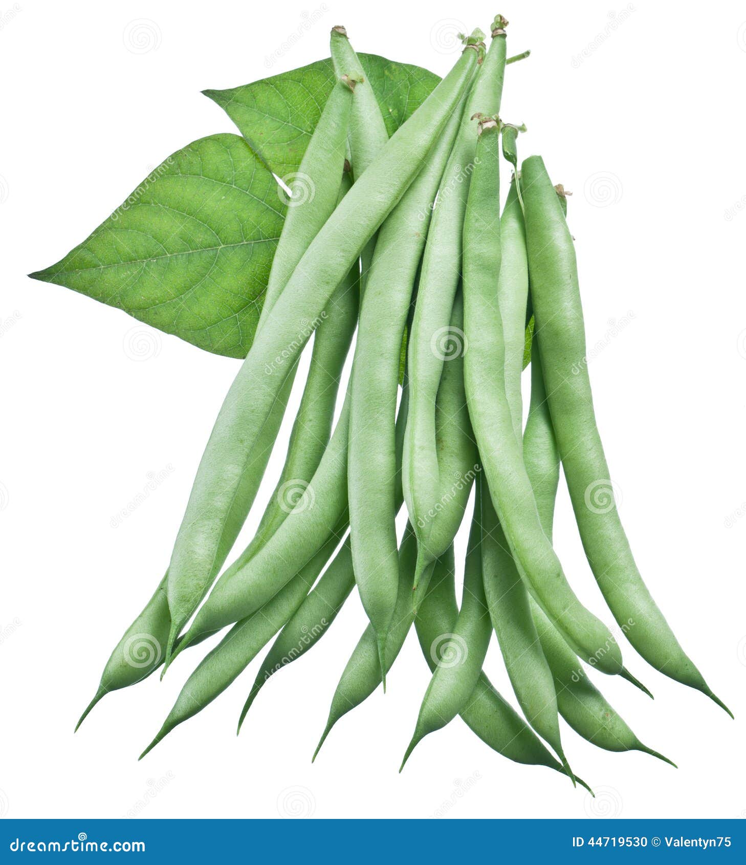 Fresh Green Beans Isolated on a White. Stock Photo - Image of food ...
