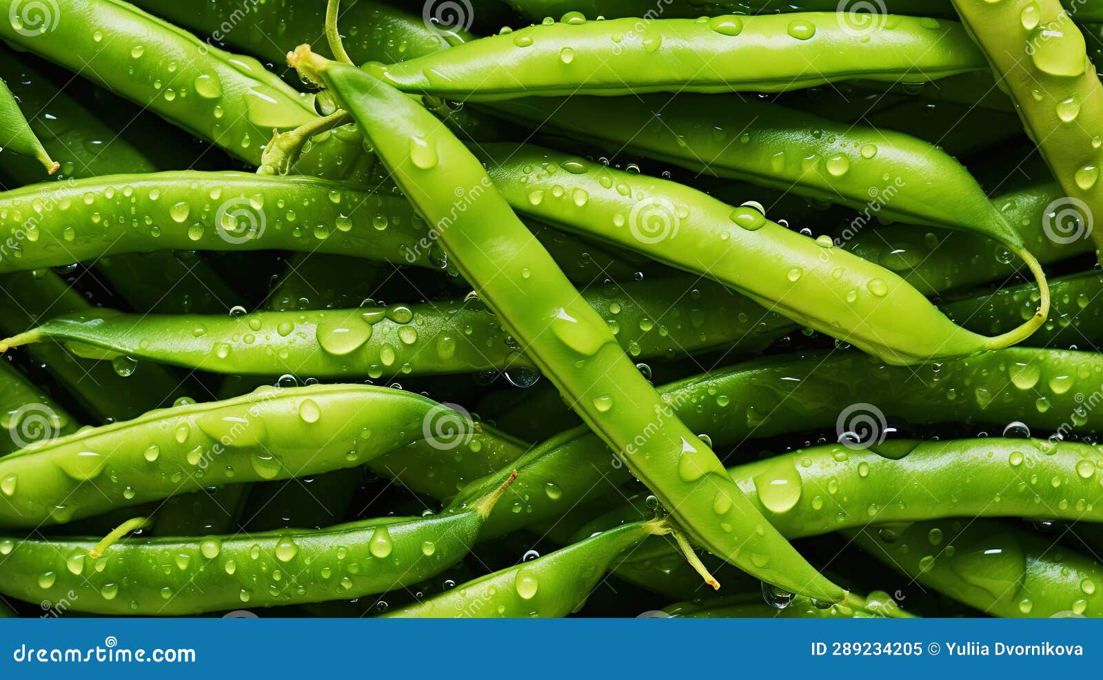 Fresh Green Beans with Water Drops Background. Vegetables Backdrop ...