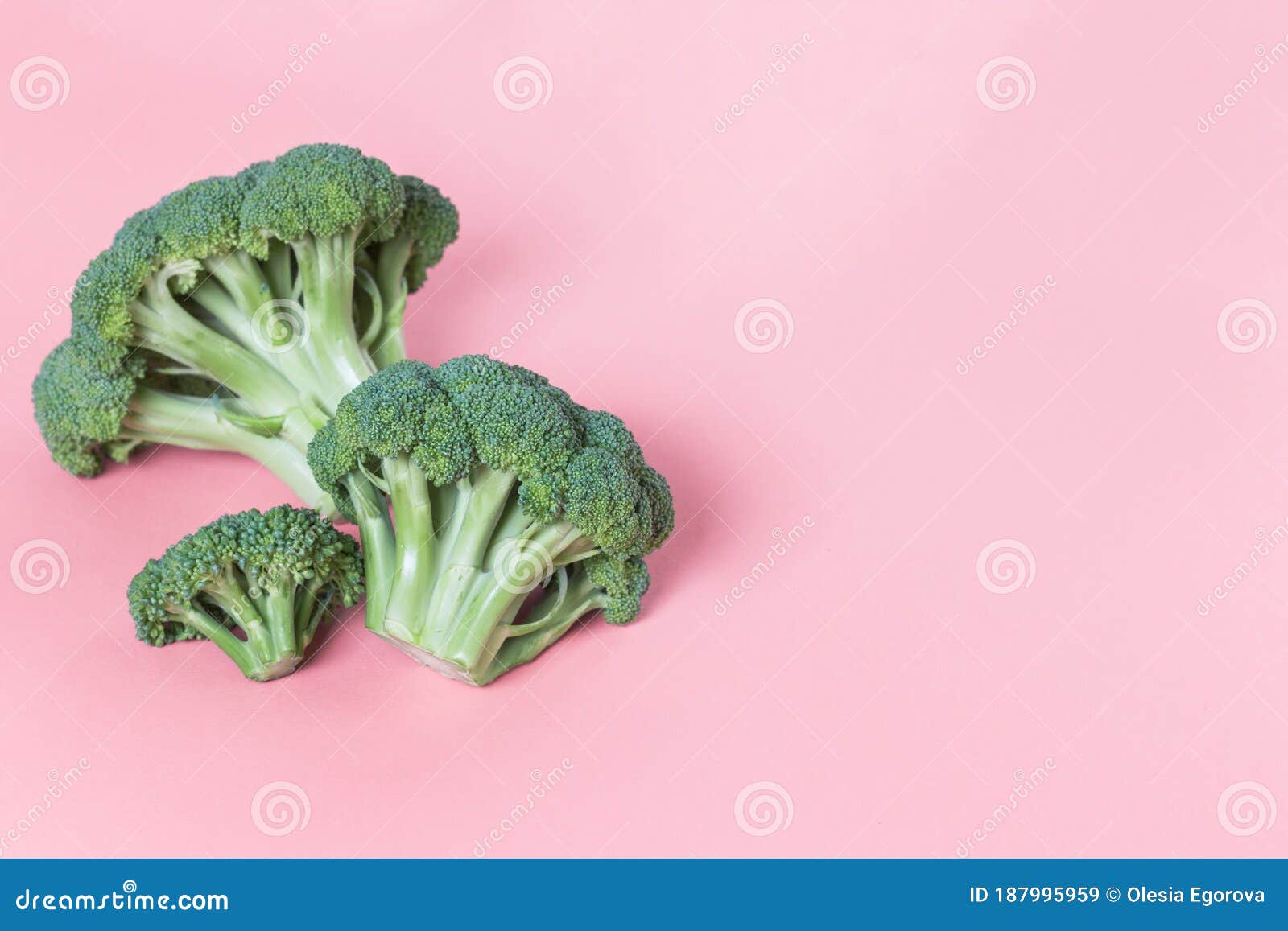 Fresh Green Broccoli of Different Sizes on a Pink Background. Stock ...