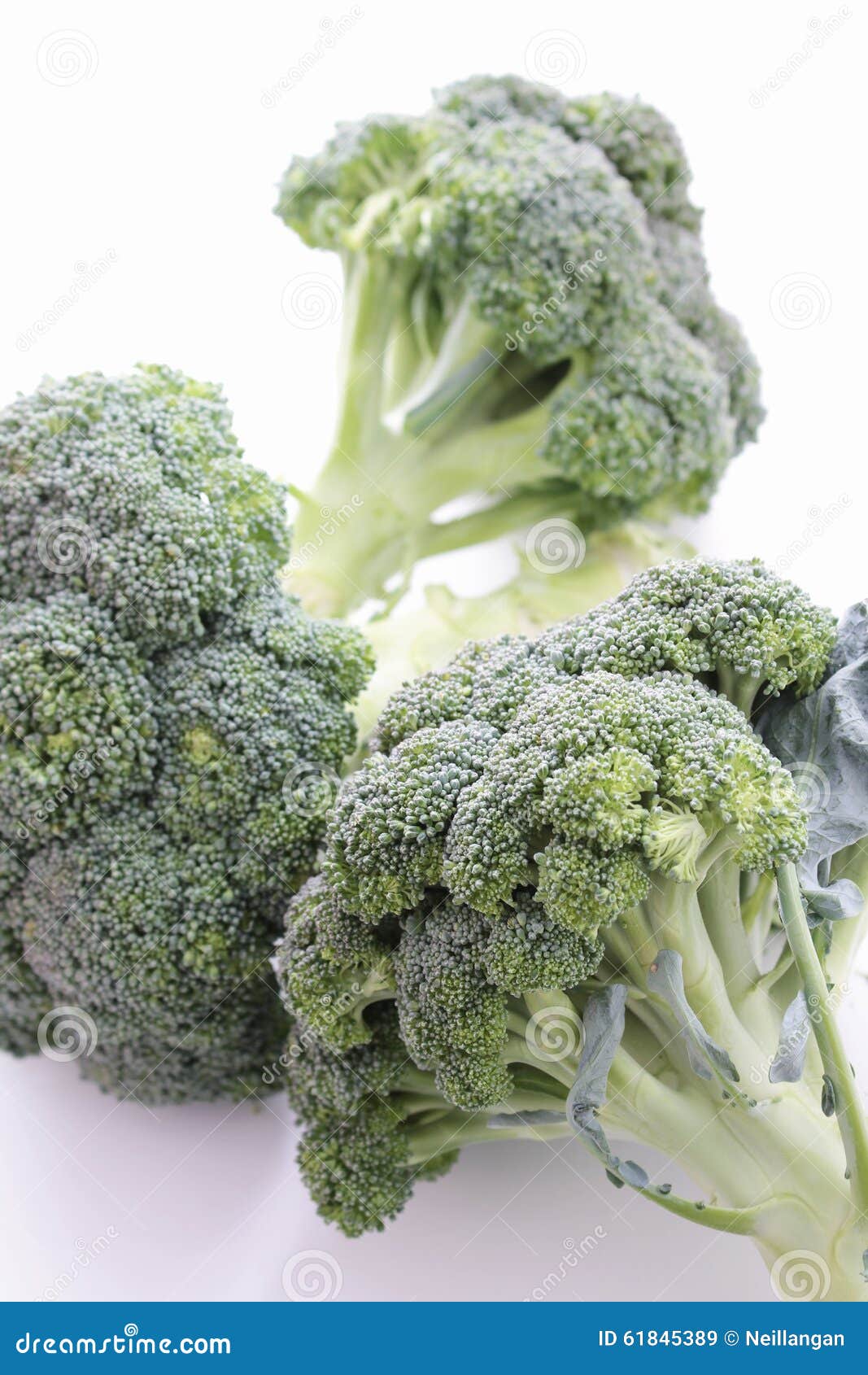 Fresh green broccoli stock image. Image of ingrediant - 61845389