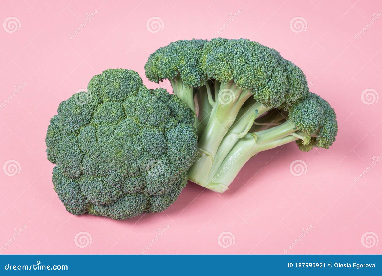 Fresh Green Broccoli on a Pink Background Stock Image - Image of ...