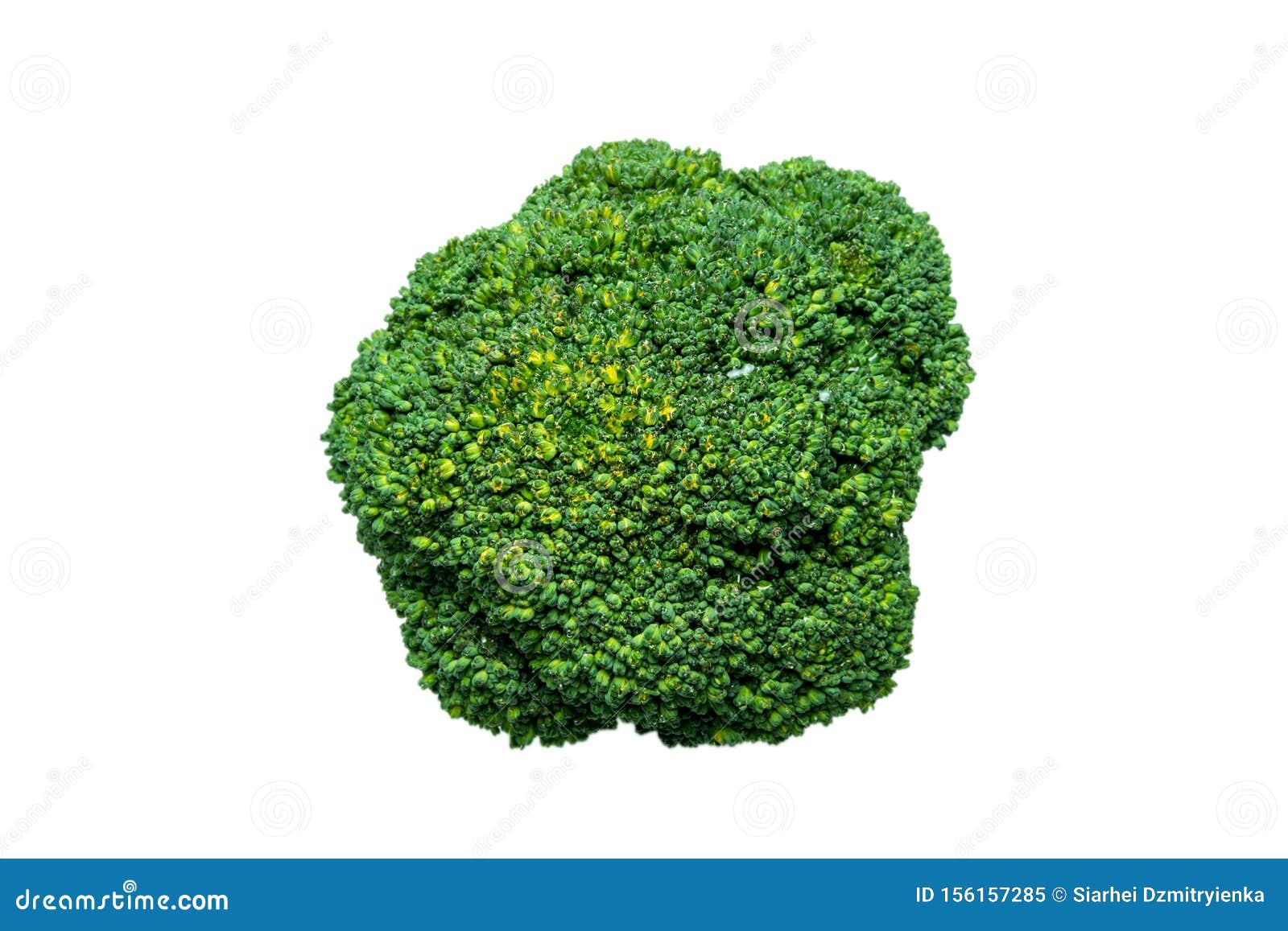 Fresh Green Broccoli Top View Isolated on White Stock Image - Image of ...