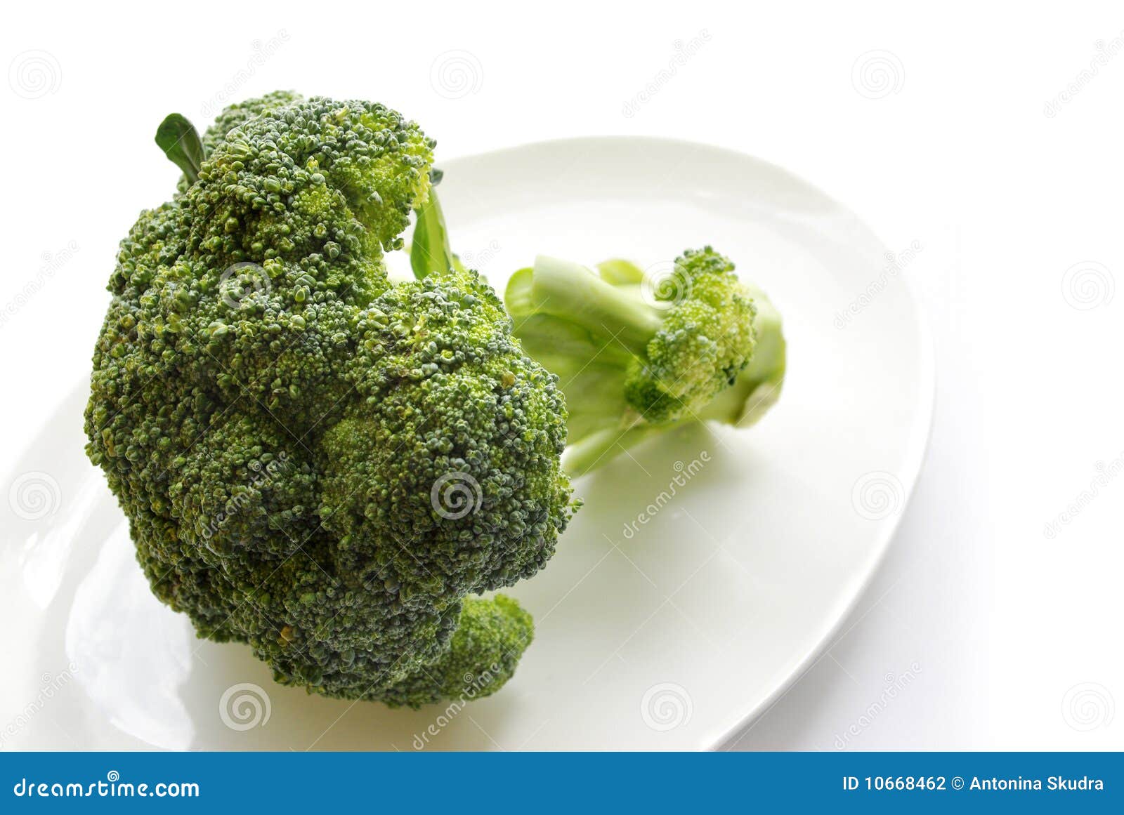 Fresh Green Broccoli on White Plate Stock Photo - Image of ingredients ...
