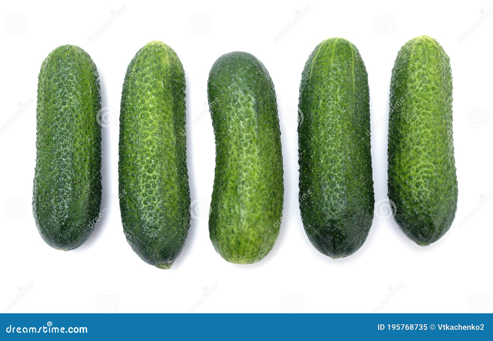 Fresh Green Bumpy Cucumbers in a Row Stock Image - Image of food, green ...