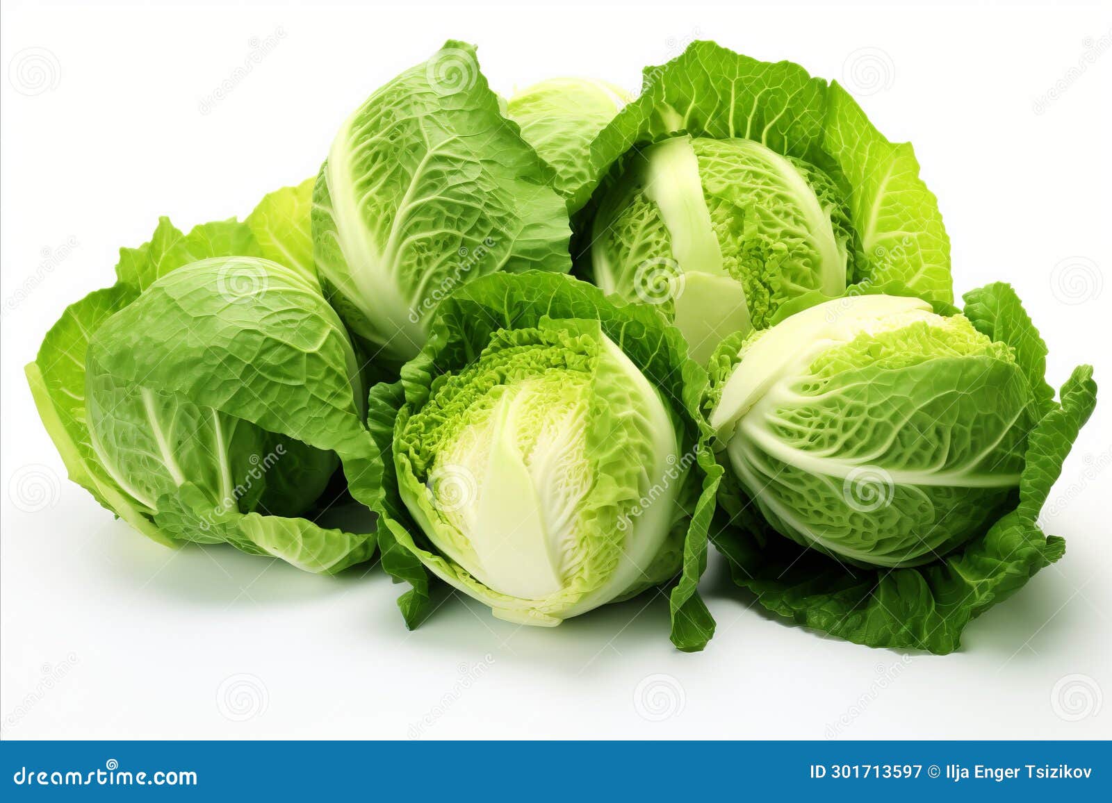 Fresh Green Cabbage on Clean White Backdrop for Eye Catching ...