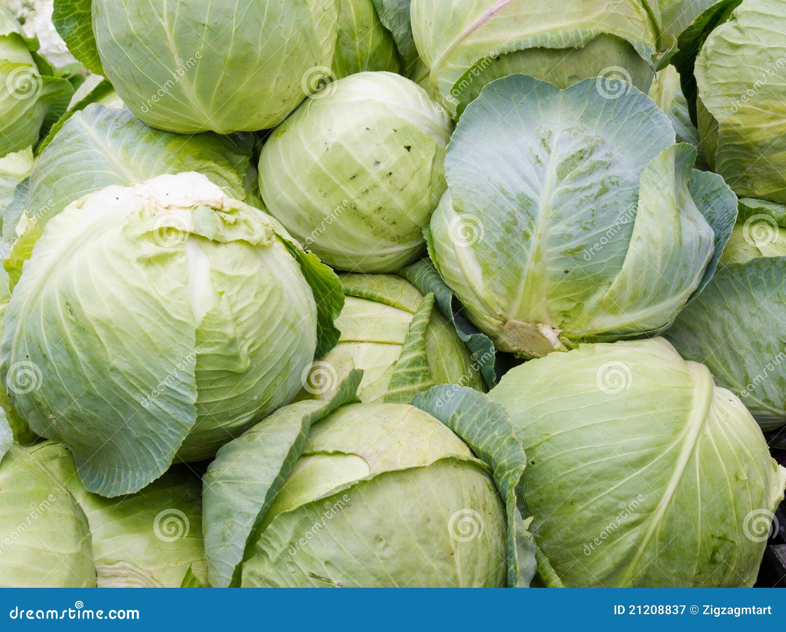 Fresh Green Cabbage on Display Stock Image - Image of nutritious ...