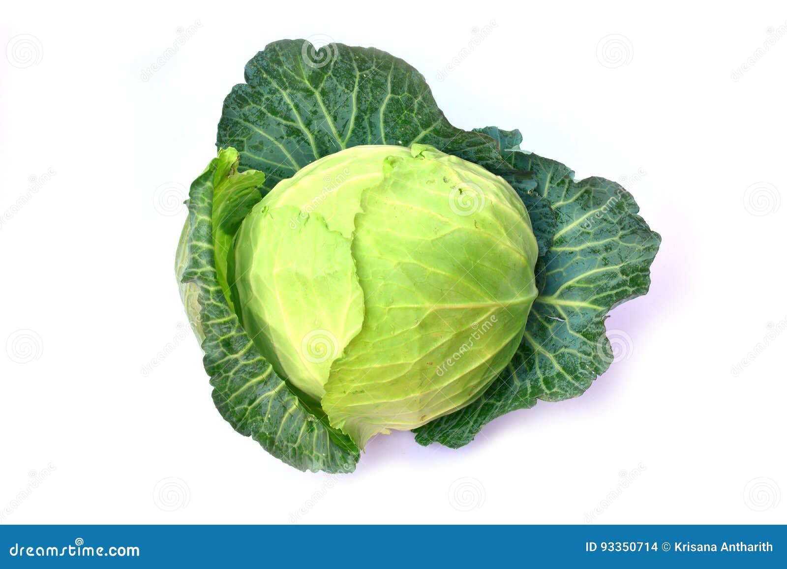 Fresh Green Cabbage Isolated on White Background Stock Photo - Image of ...