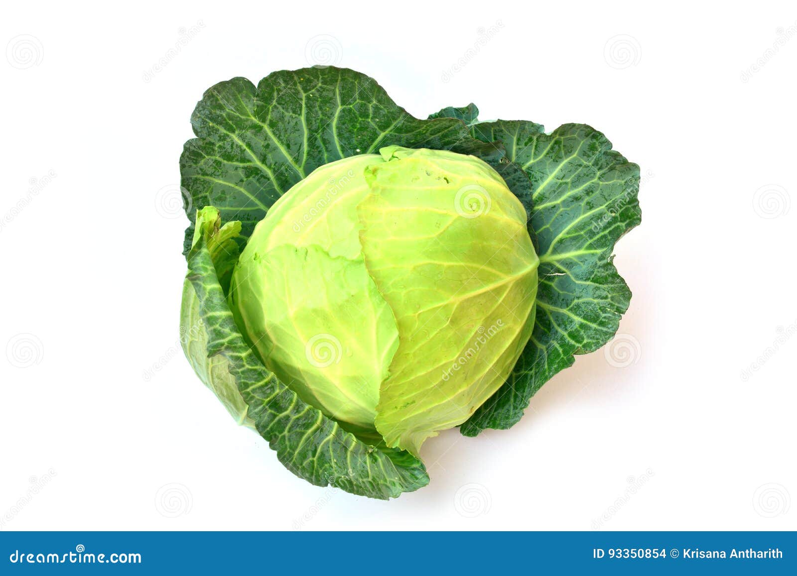Fresh Green Cabbage Isolated on White Background Stock Photo - Image of ...