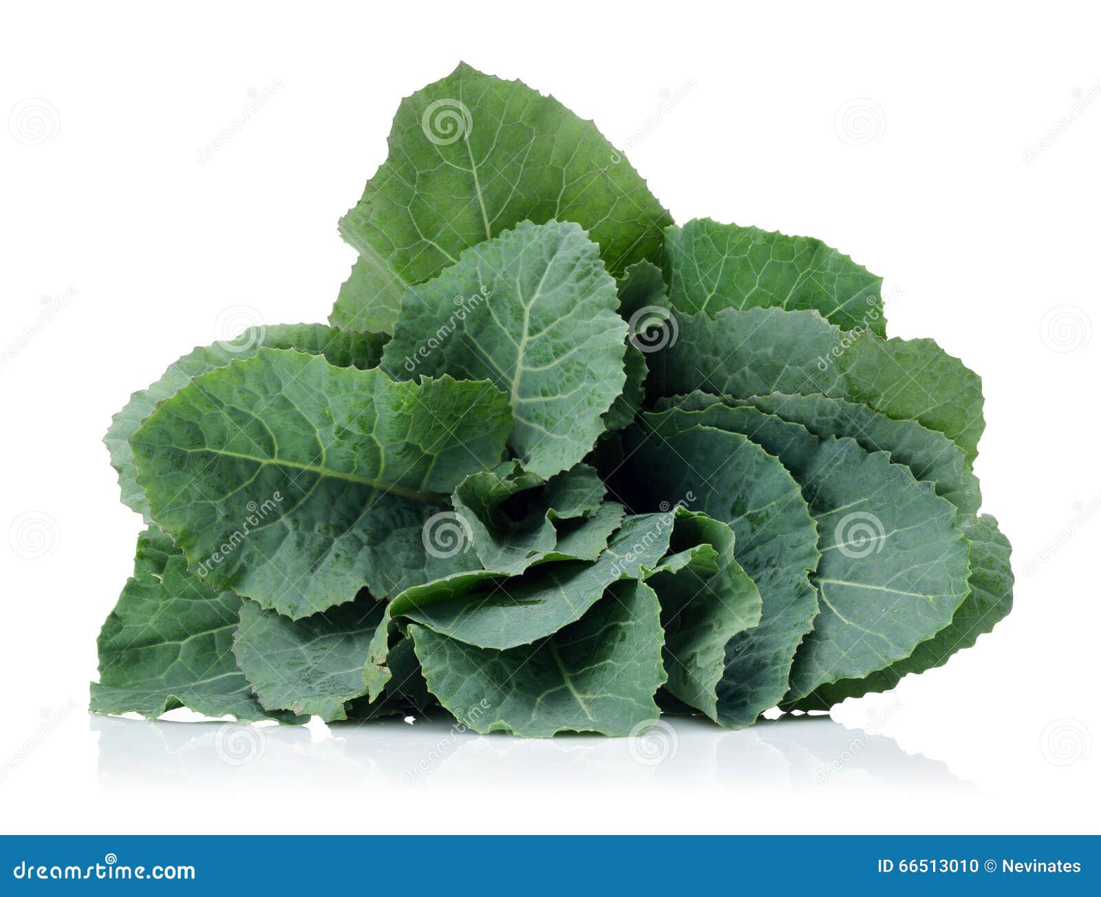 Green Cabbage Texture Background Stock Photography | CartoonDealer.com ...