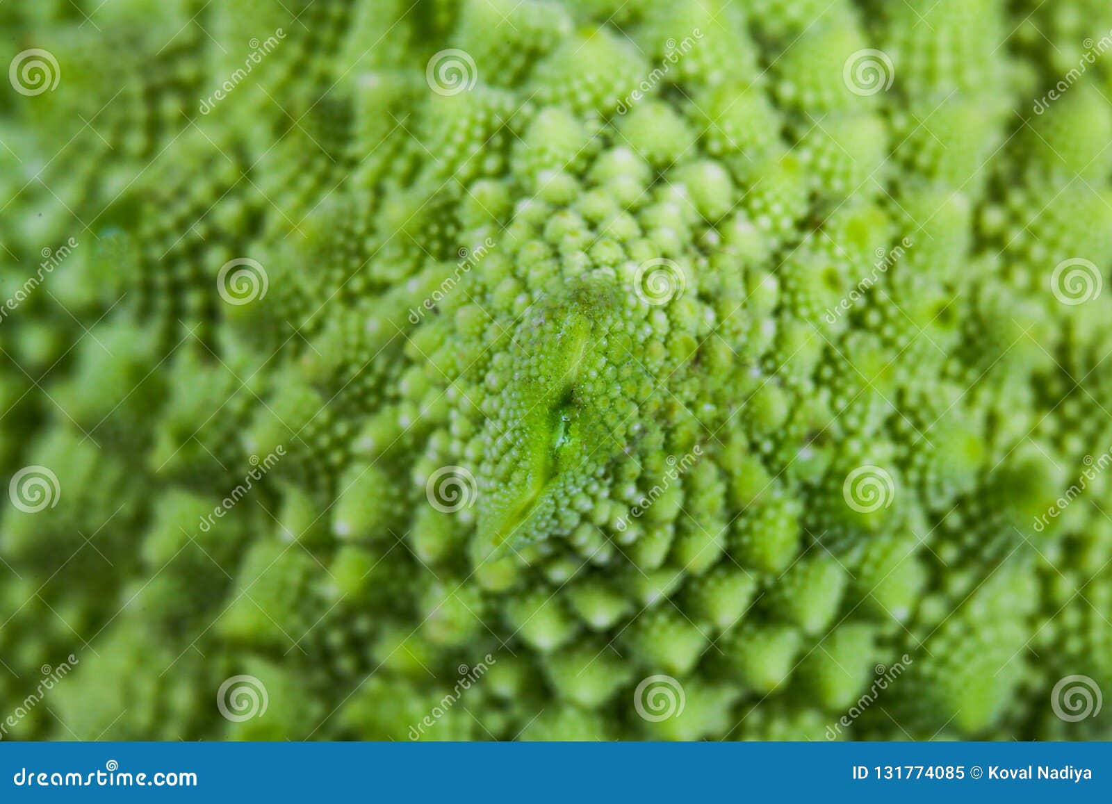 Fresh Green Cabbage Romanesco, Brassica Oleracea, Close-up Selective ...