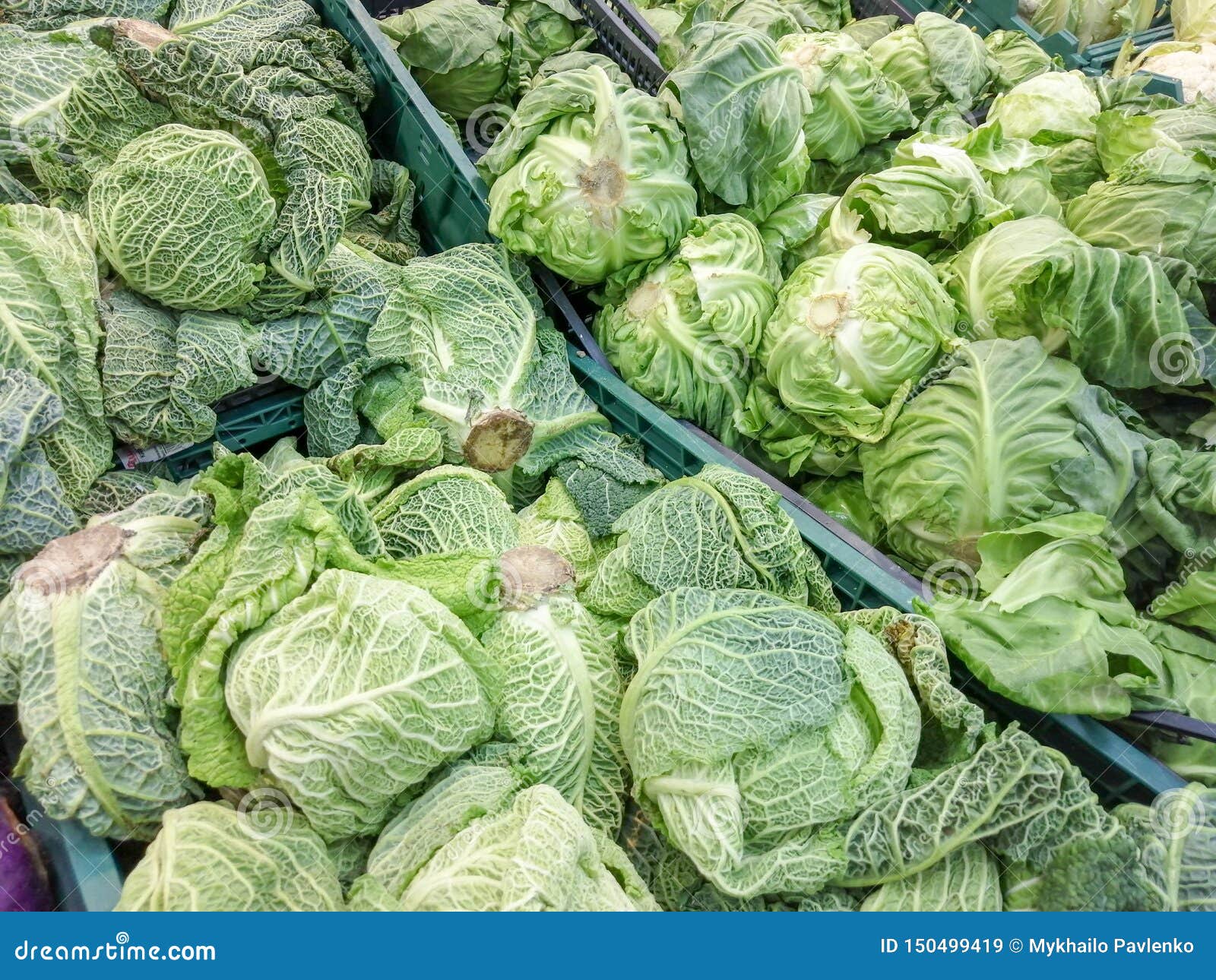 Fresh Green Cabbage on the Storefront in Plastic Boxes Stock Image ...