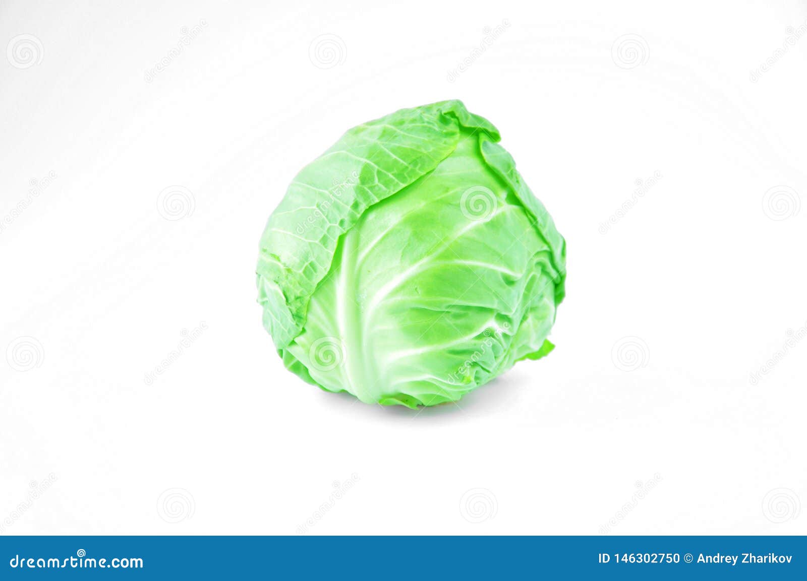 Fresh green cabbage stock photo. Image of healthy, organic - 146302750