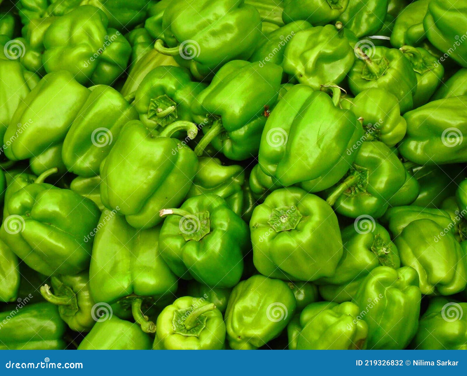 Fresh green Capsicum stock photo. Image of capsicum - 219326832