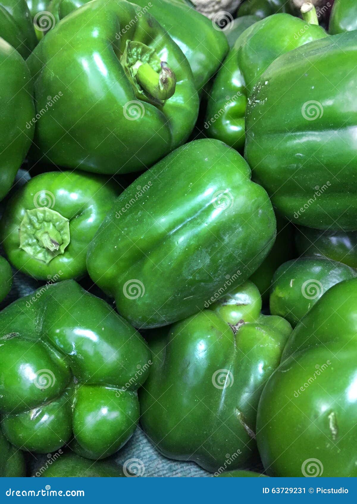 Fresh green capsicums stock image. Image of salad, green - 63729231