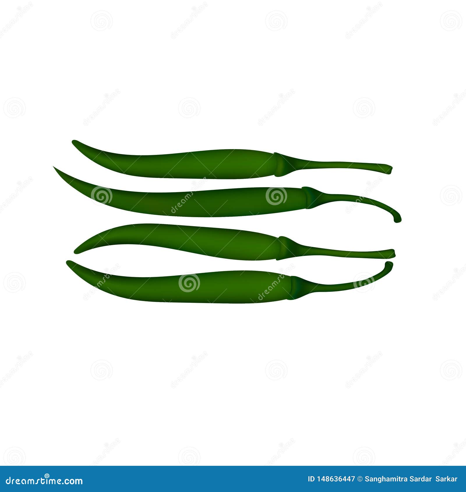 Fresh Green Chili Vector Image Stock Vector - Illustration of vegetable ...