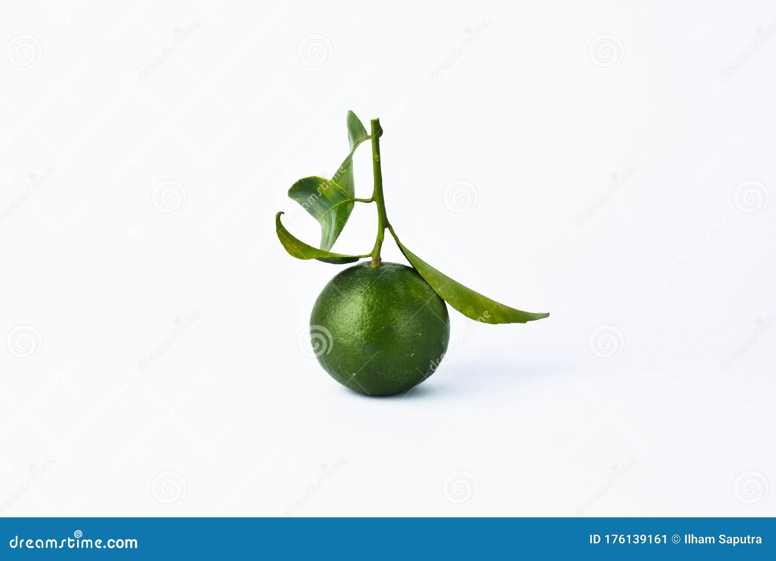 Fresh Green Citrus Fruit Isolated on White Background Stock Image ...