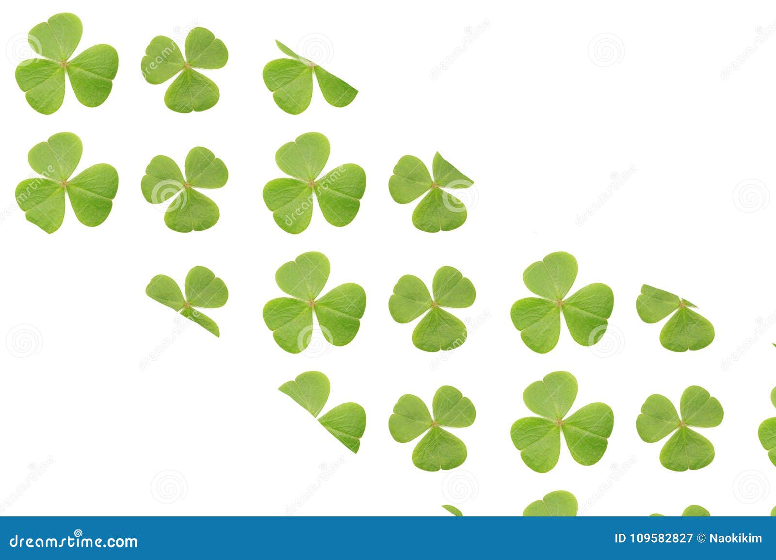 Green Clover Leaf Abstract on White Background Stock Illustration ...