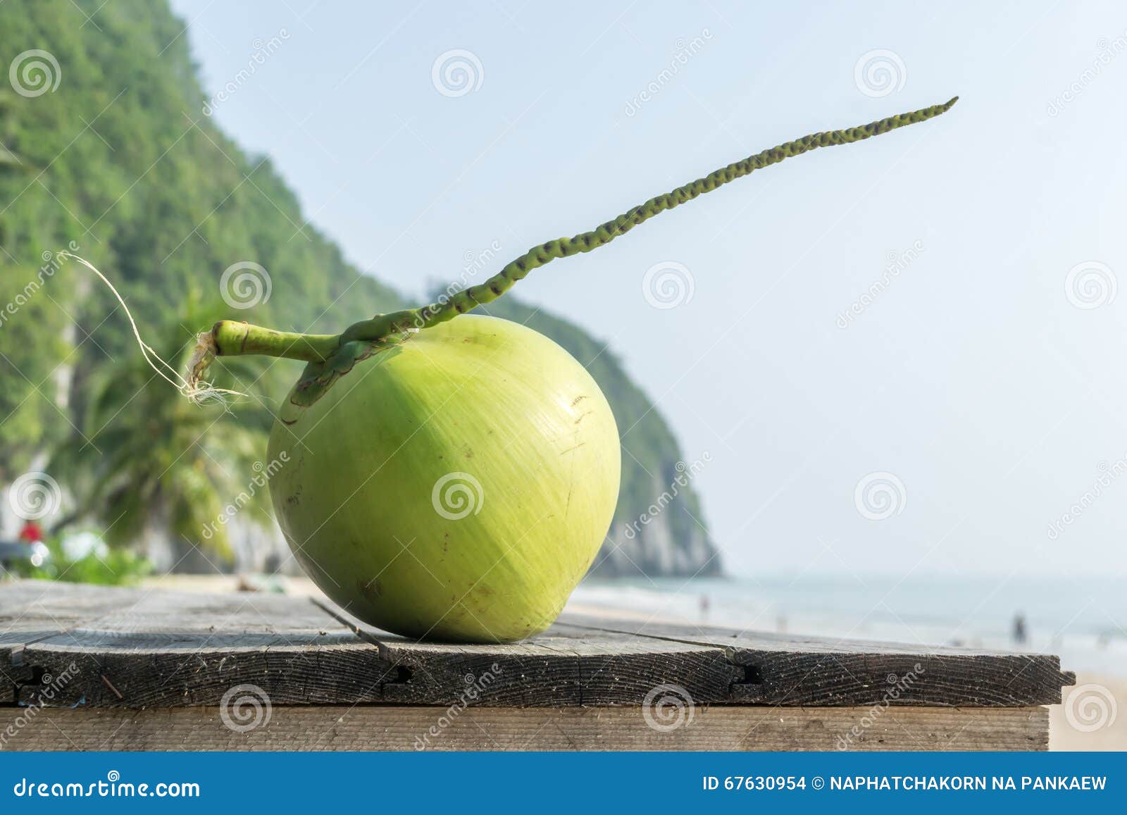 Fresh Green Coconut on Wood Table Stock Photo - Image of cracked, green ...