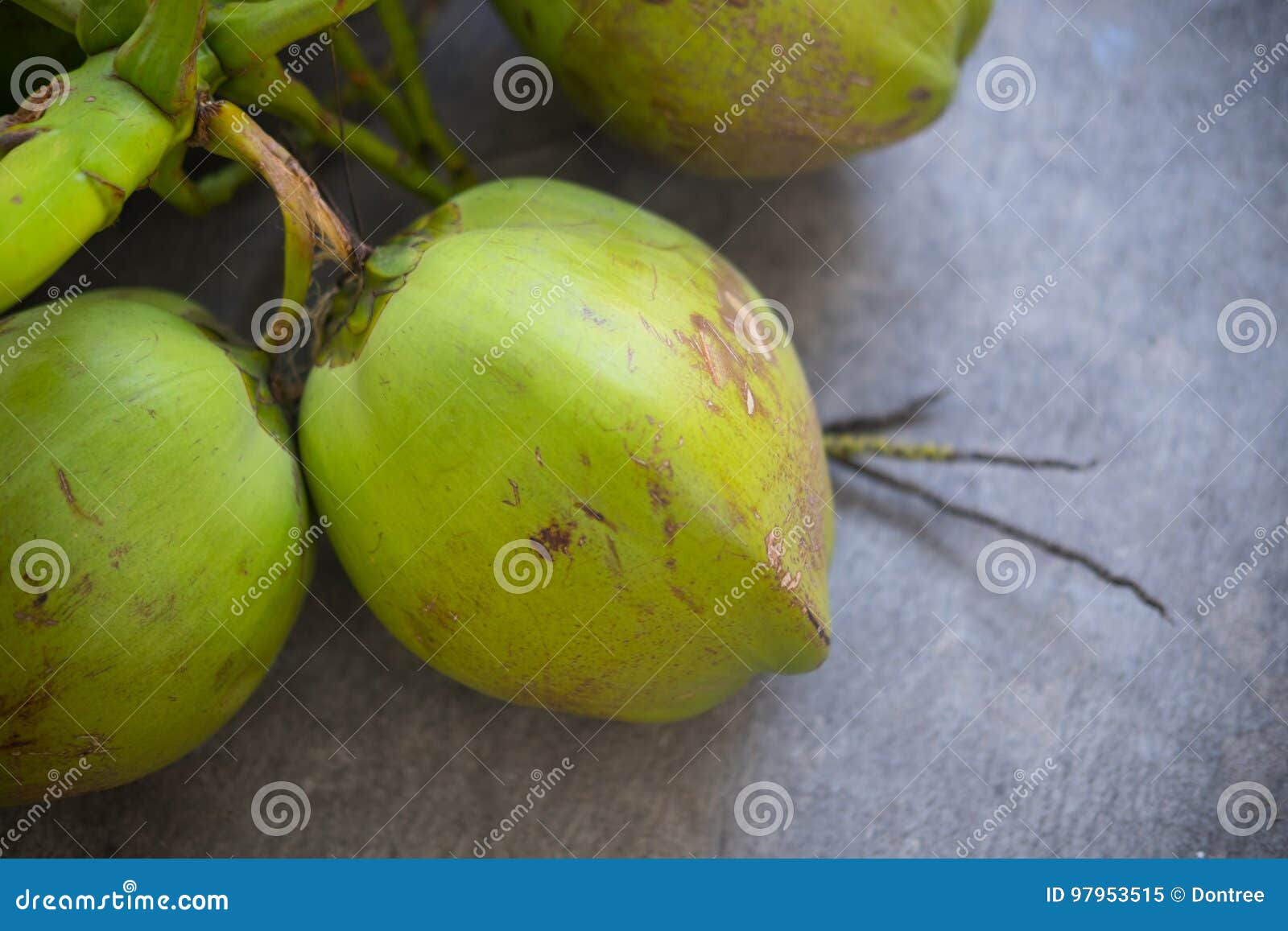 Fresh green coconuts stock image. Image of garden, fruit - 97953515