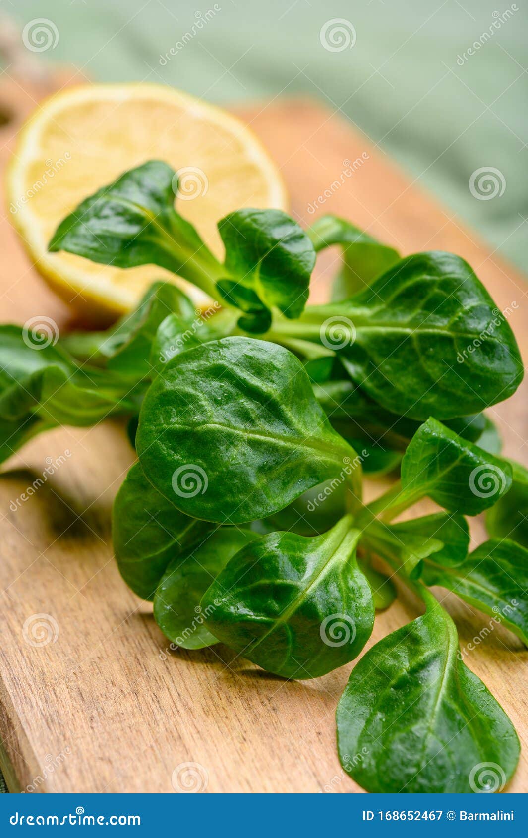 Fresh Green Corn Salad Leaves, Also Called Nut Lettuce or Fields Salad ...