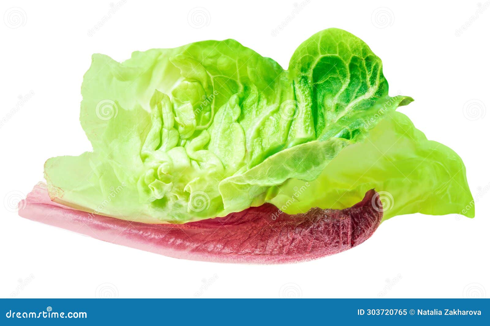 Fresh Green Cos Lettuce Leaf Isolate on White Background. Batavia Salad ...