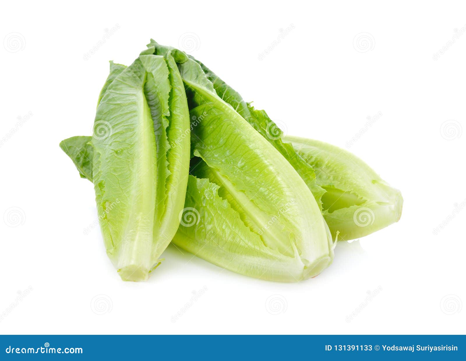 Fresh Green Cos on White Background Stock Image - Image of color, fresh ...