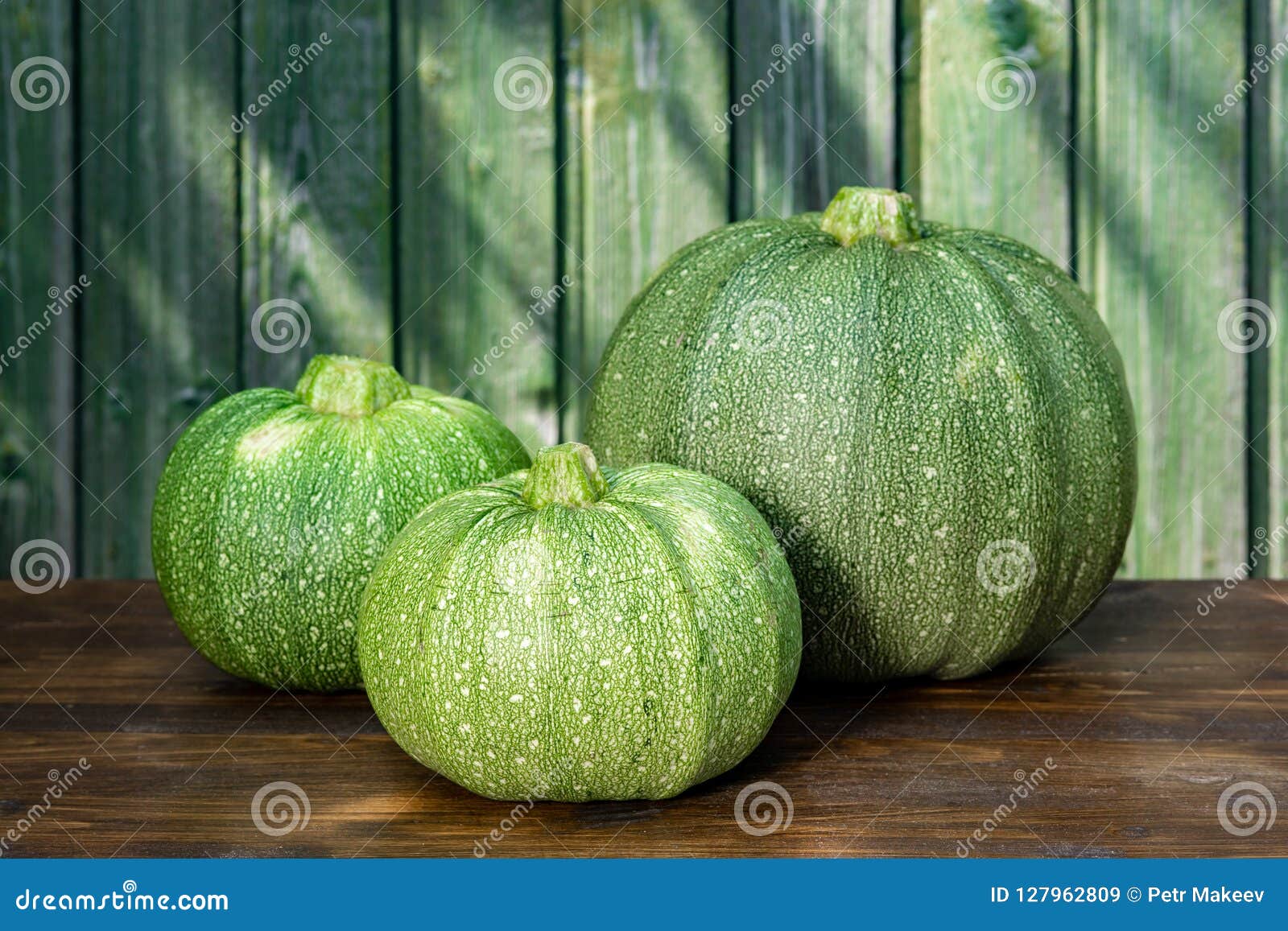 Fresh Green Courgettes of Round Shape Stock Image - Image of economy ...