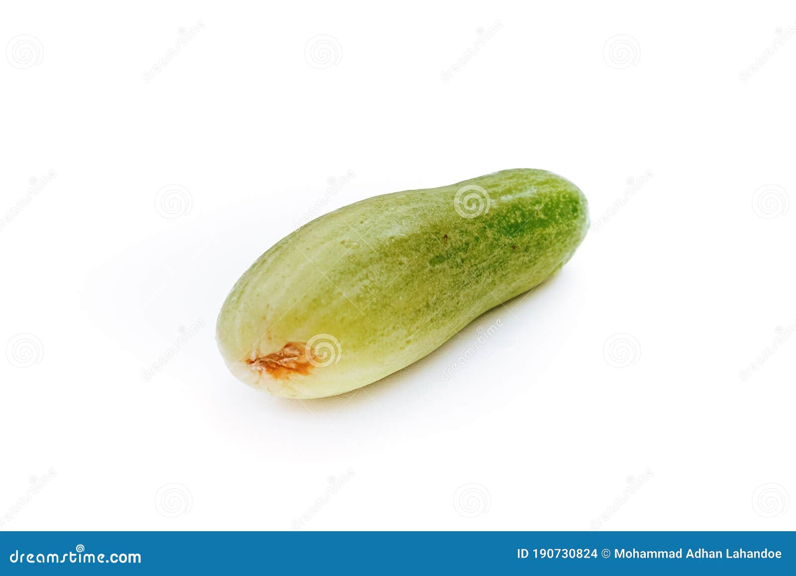 A Fresh Green Cucumber but Slightly Deformed with an Isolated White ...