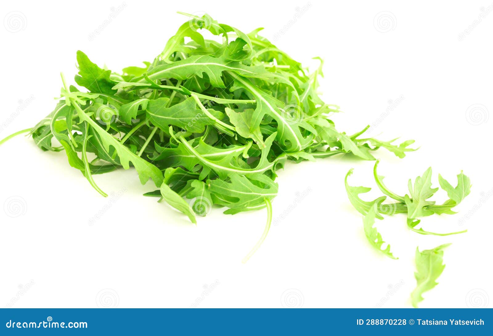 Fresh Farm Arugula on a White Background Stock Photo - Image of natural ...
