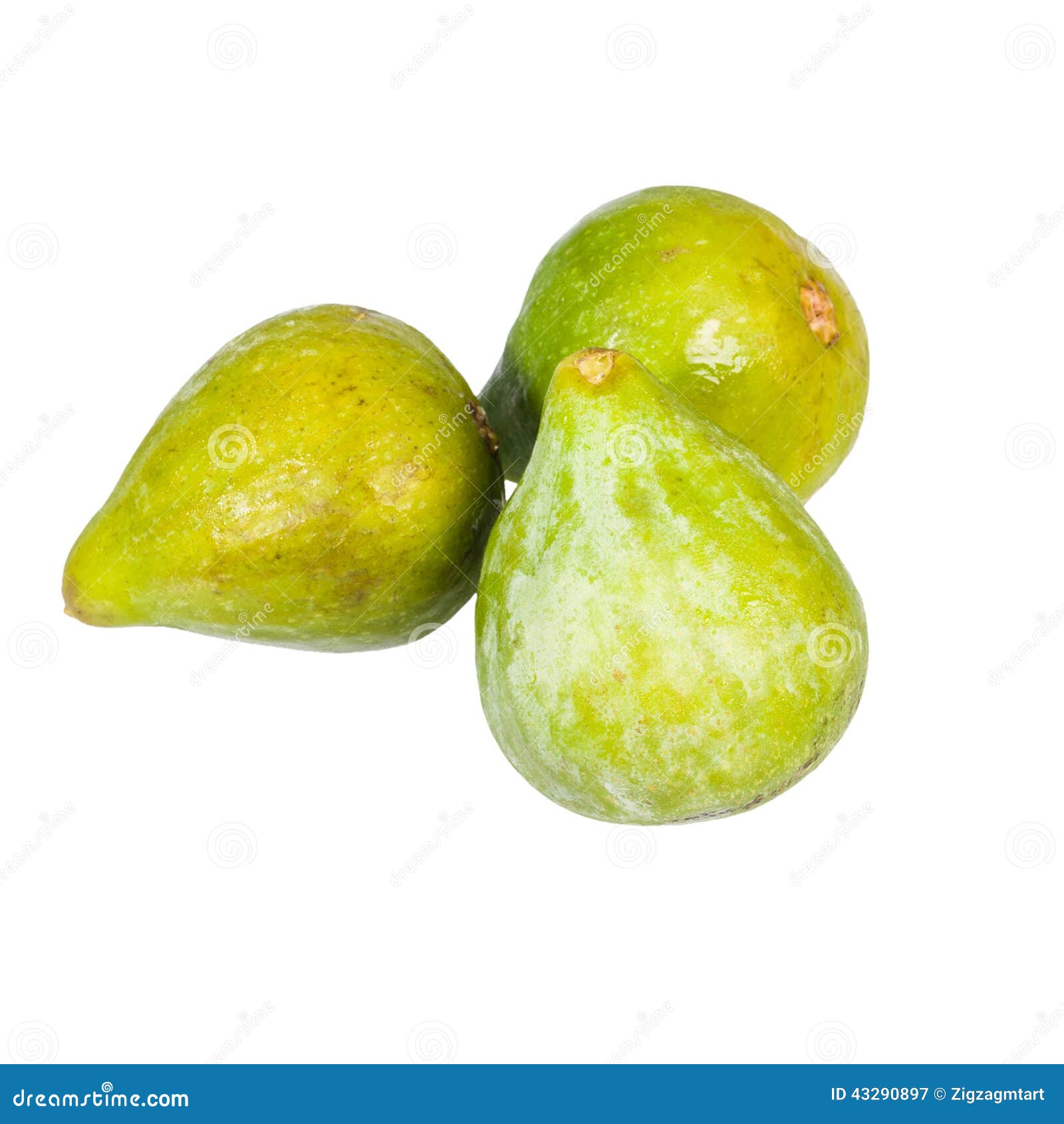Fresh Green Figs Picked Ripe Isolated on White Stock Image - Image of ...