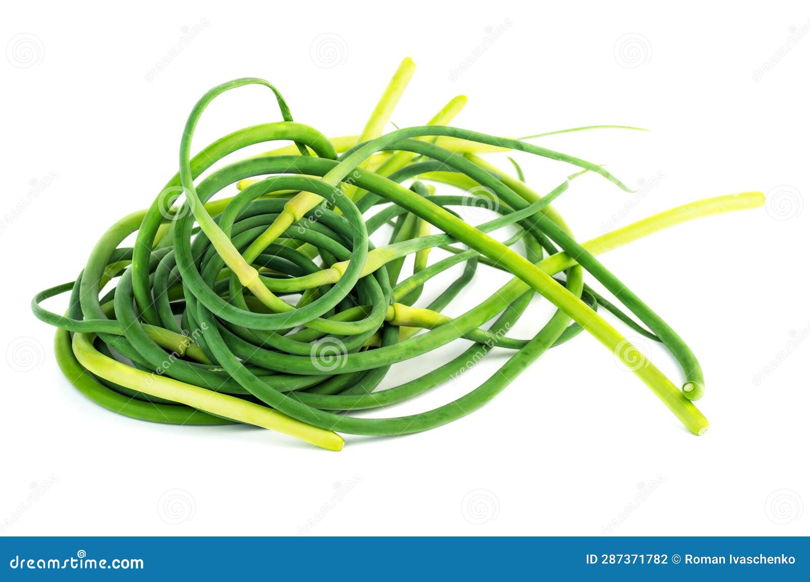 Fresh green garlic sprouts stock photo. Image of vegetable - 287371782