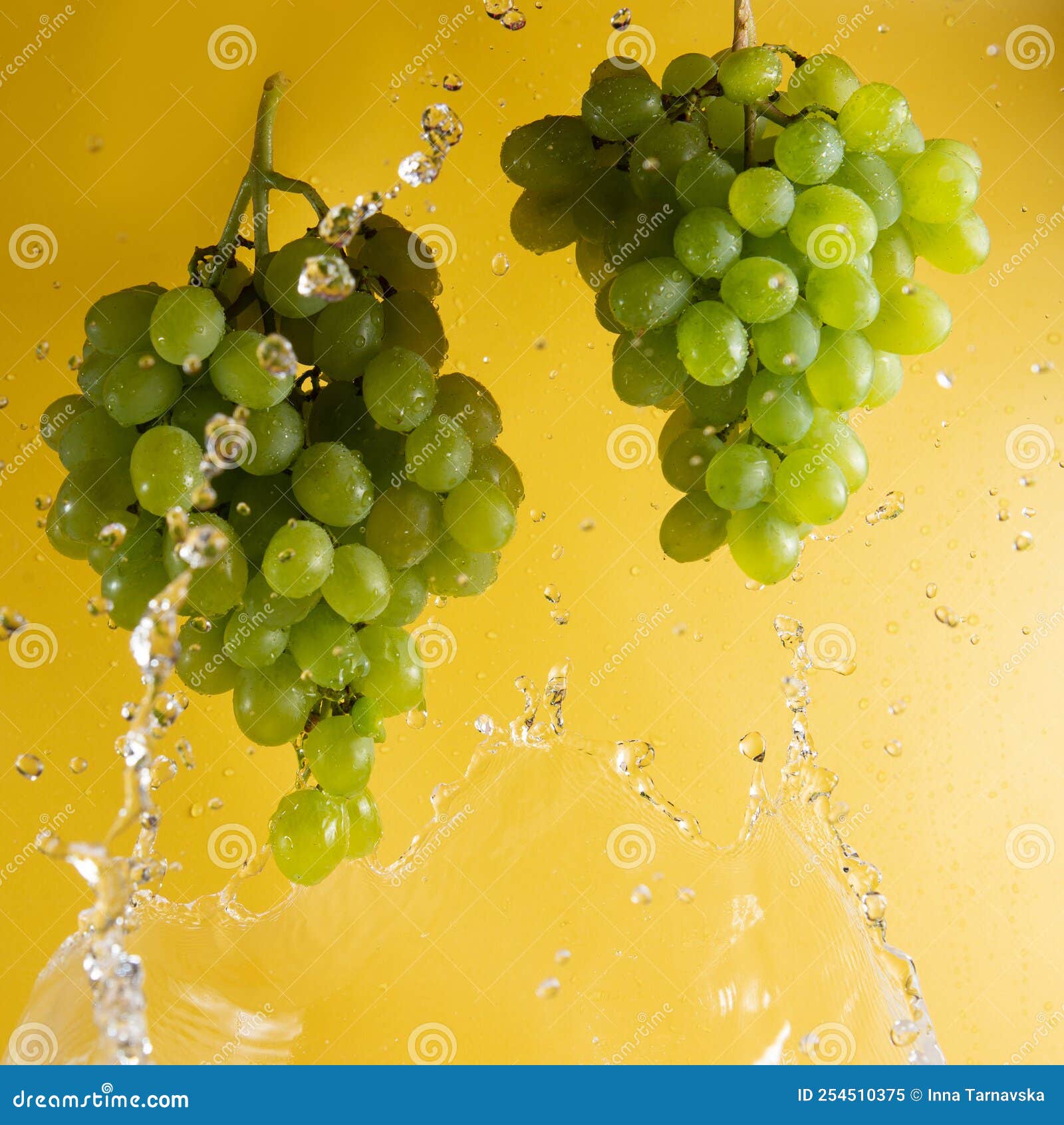 Grape Grones Stock Photos - Free & Royalty-Free Stock Photos from Dreamstime
