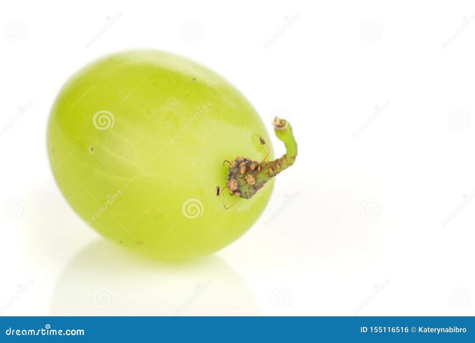 Fresh Green Grape Isolated on White Stock Photo - Image of cultivated ...