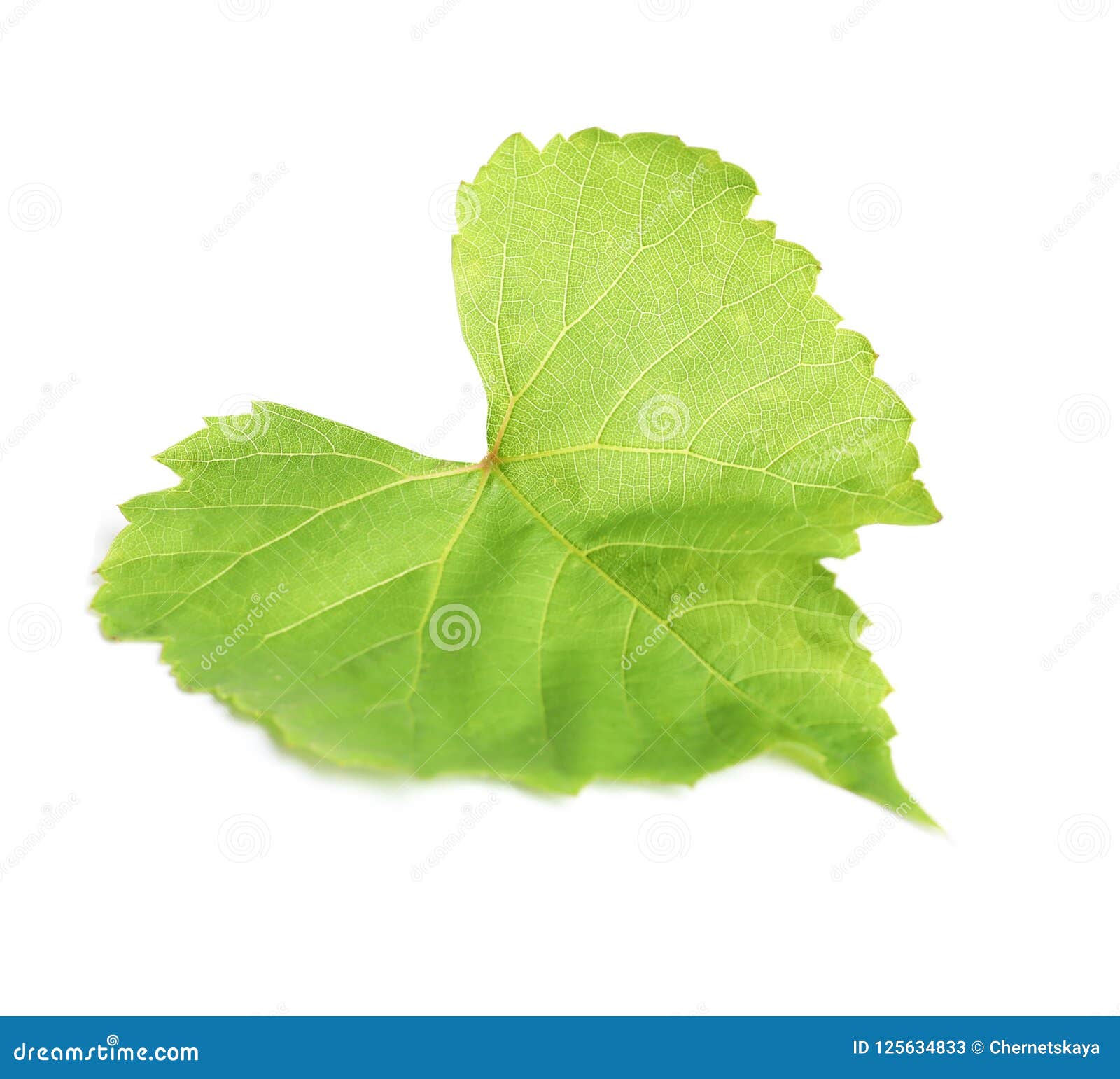 Fresh Green Grape Leaf Isolated Stock Image - Image of plant, food ...