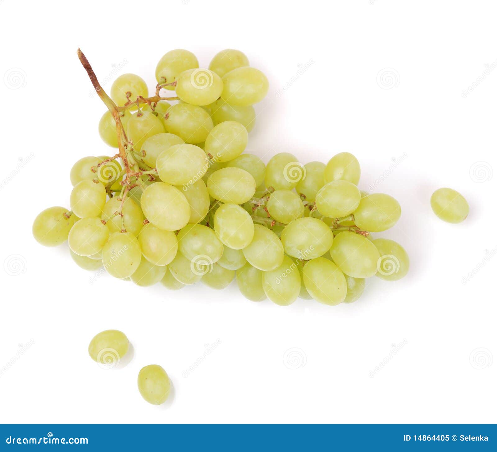 Fresh green grapes stock image. Image of ripen, natural - 14864405