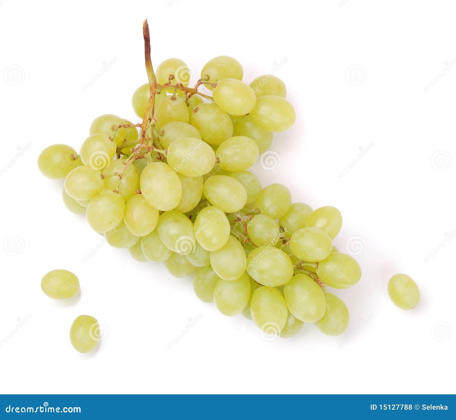Fresh green grapes stock photo. Image of close, natural - 15127788