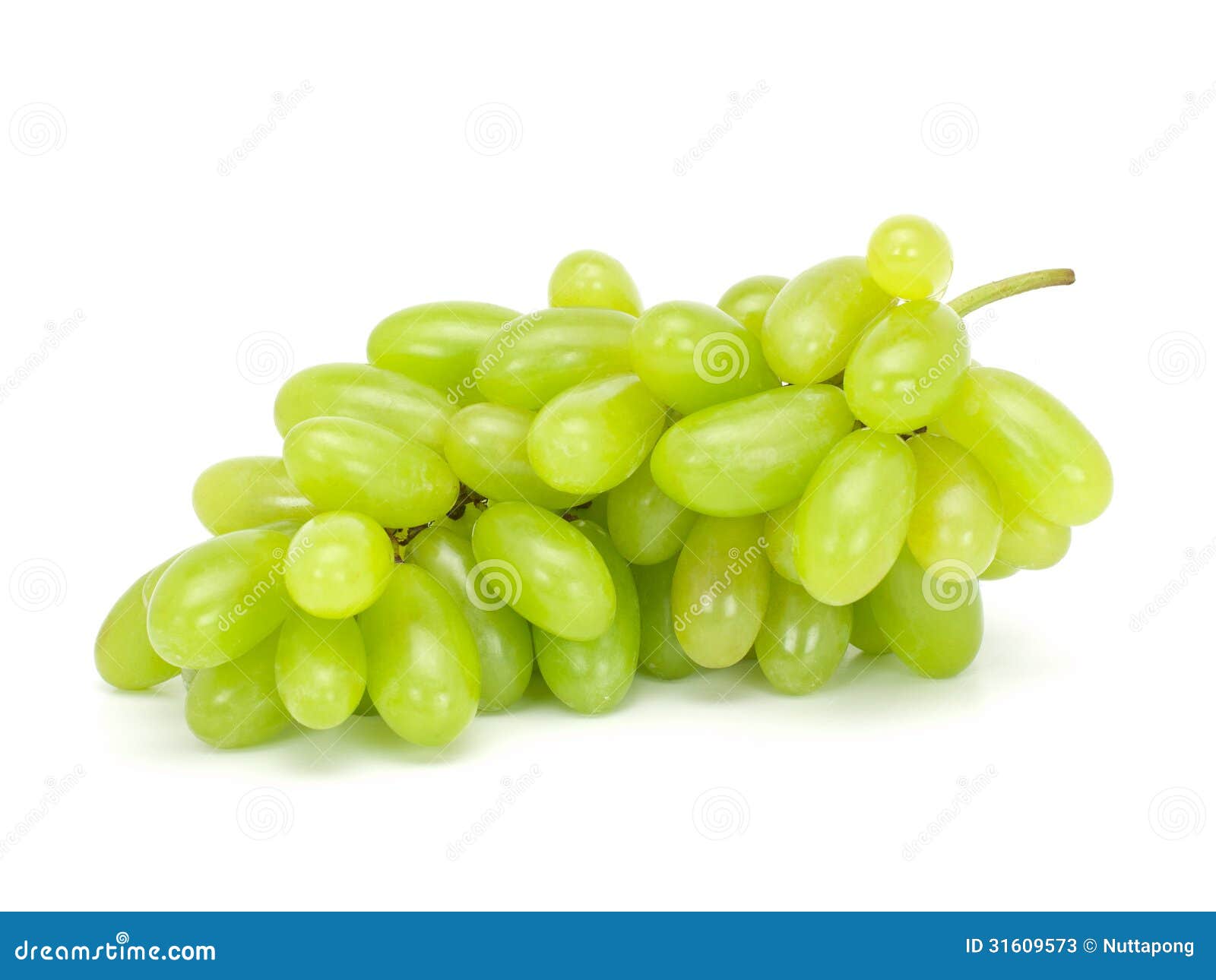 Fresh green grapes stock image. Image of bunch, grape - 31609573