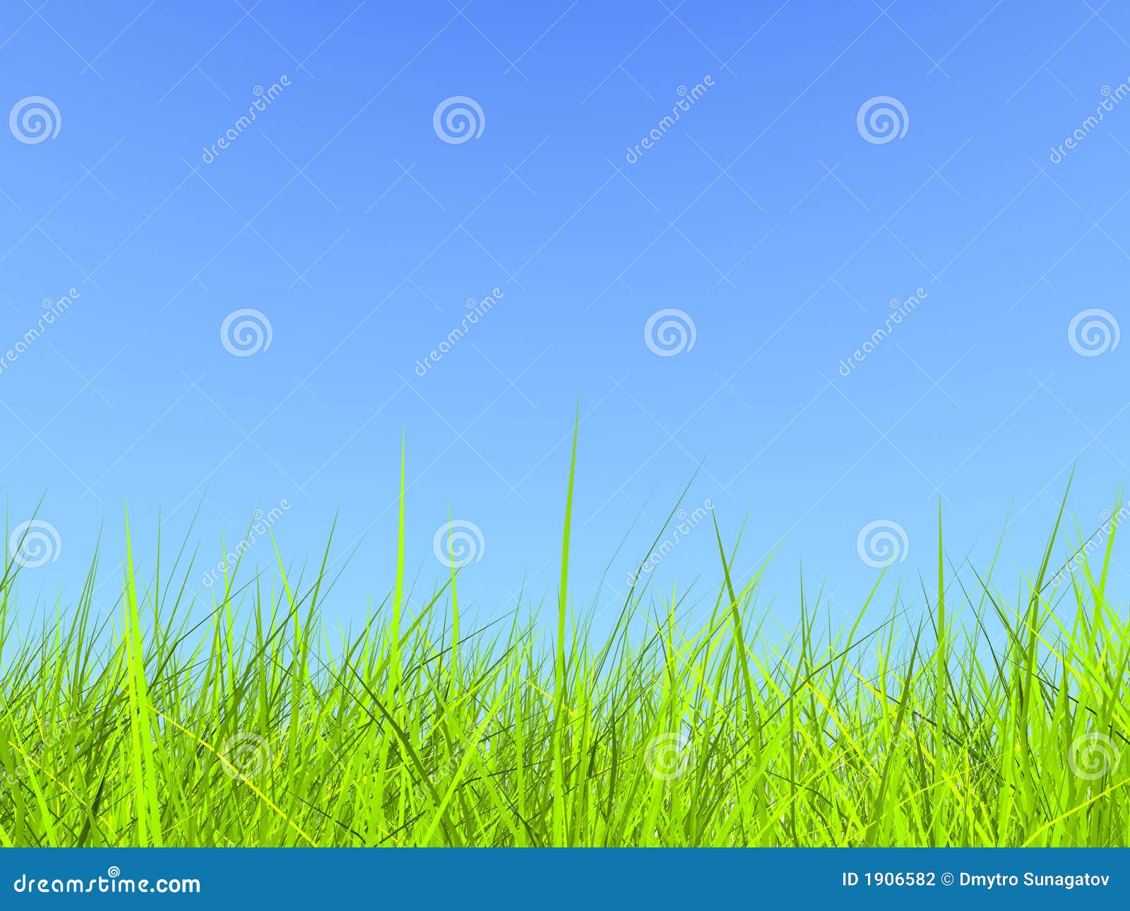 Fresh Green Grass on Blue Sunny Sky Background Stock Photo - Image of ...