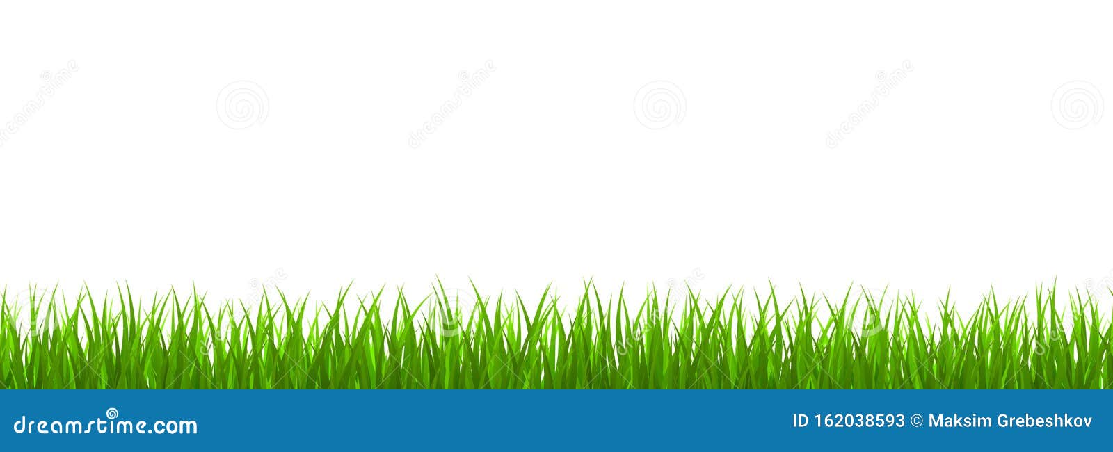 Fresh green grass border stock illustration. Illustration of ...