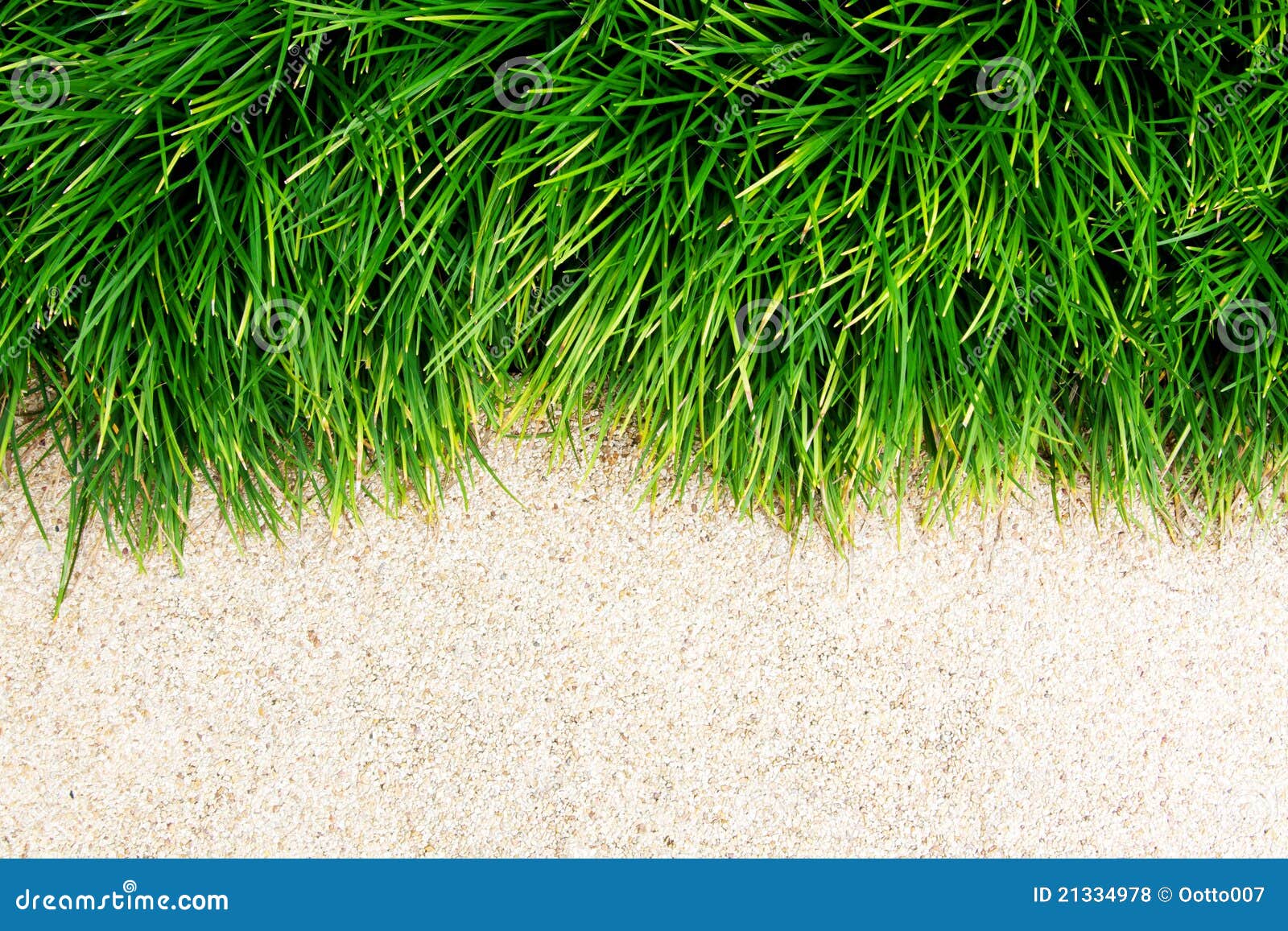 Fresh Green Grass on floor stock photo. Image of indoor - 21334978