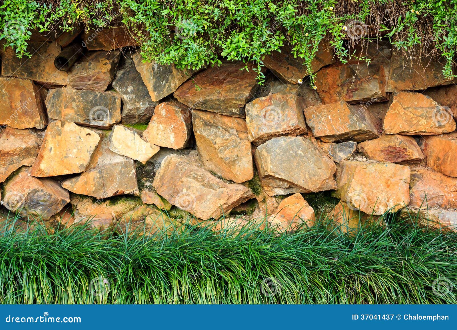 Fresh green grass on stone stock image. Image of gardening - 37041437