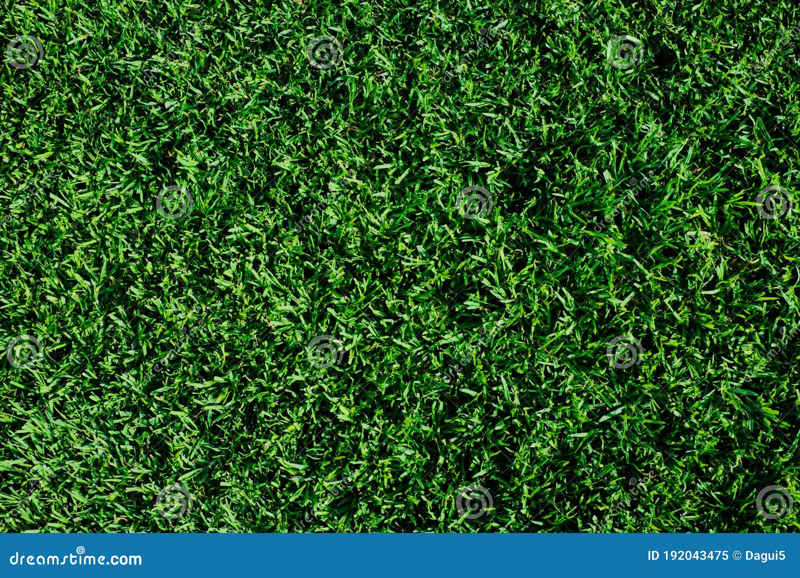 Empty Lawn Grass Background with Space for Text. Stock Image - Image of ...