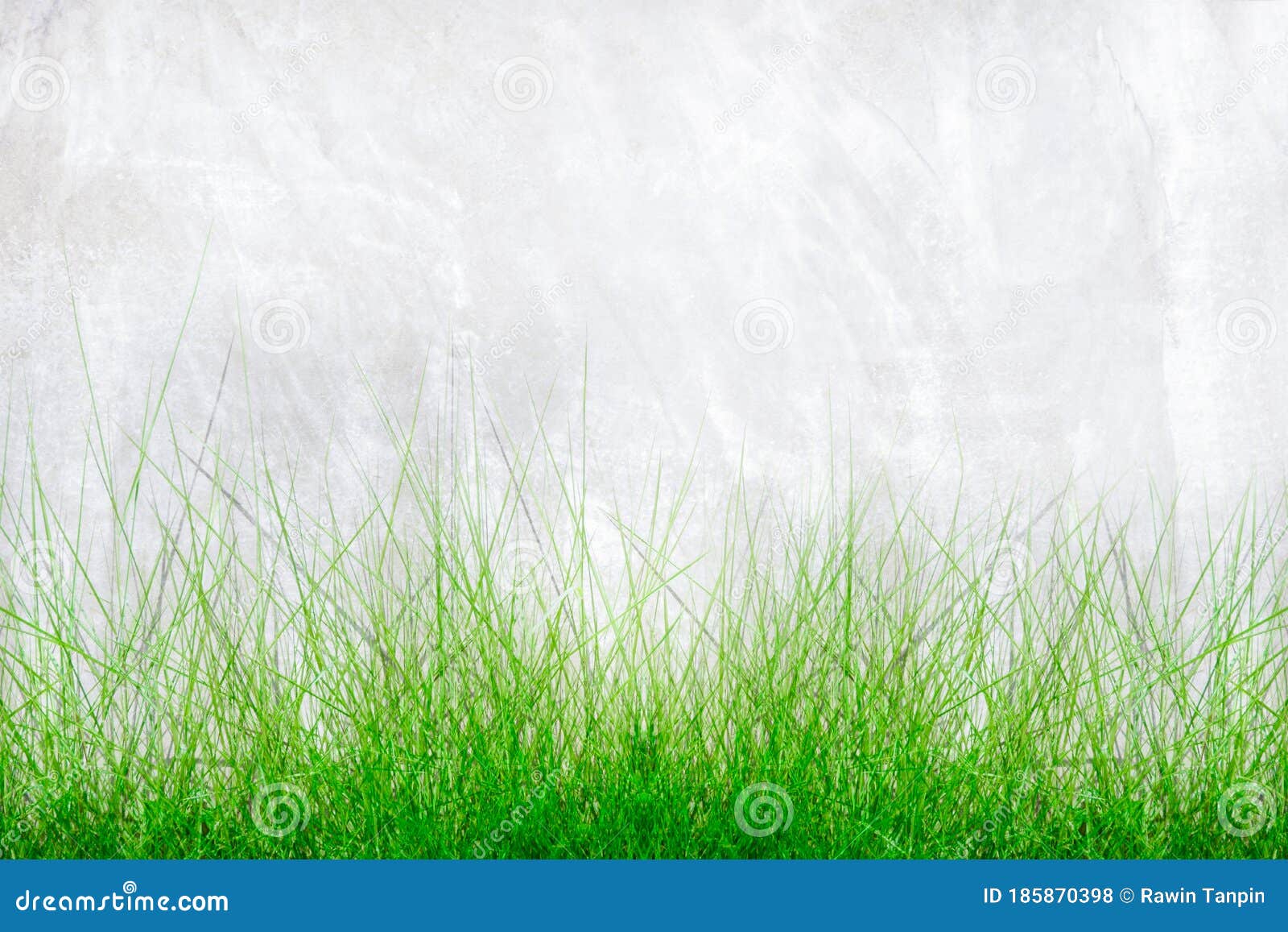 Fresh Green Grass and Wall Background Stock Photo - Image of view ...