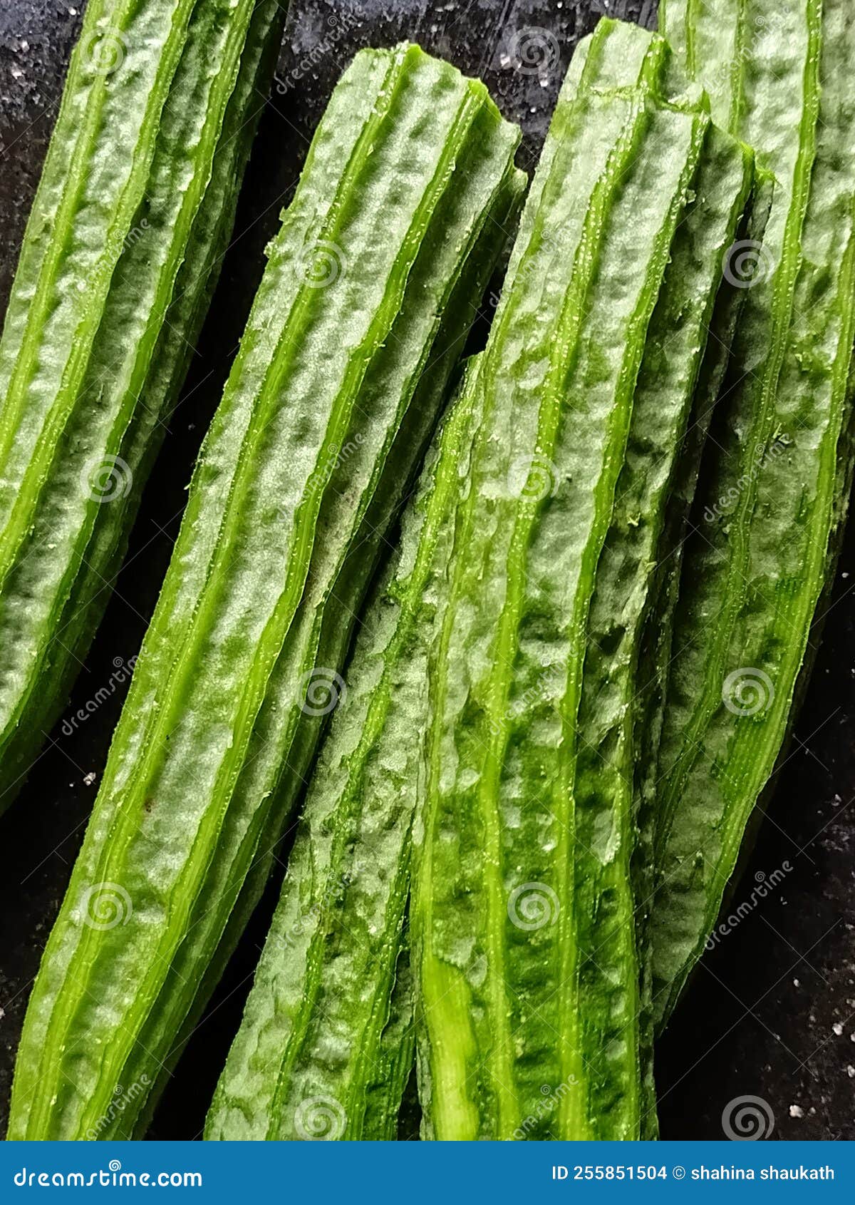 Green ridge guard stock photo. Image of guard, fresh - 255851504